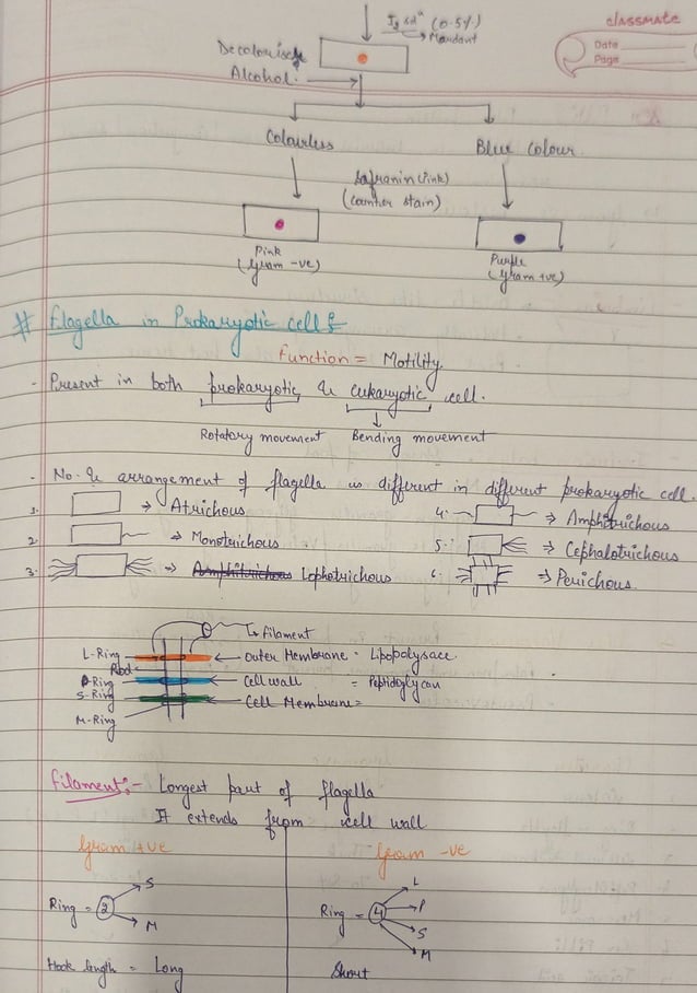 Cell the basic unit of life hand made notes | PPT