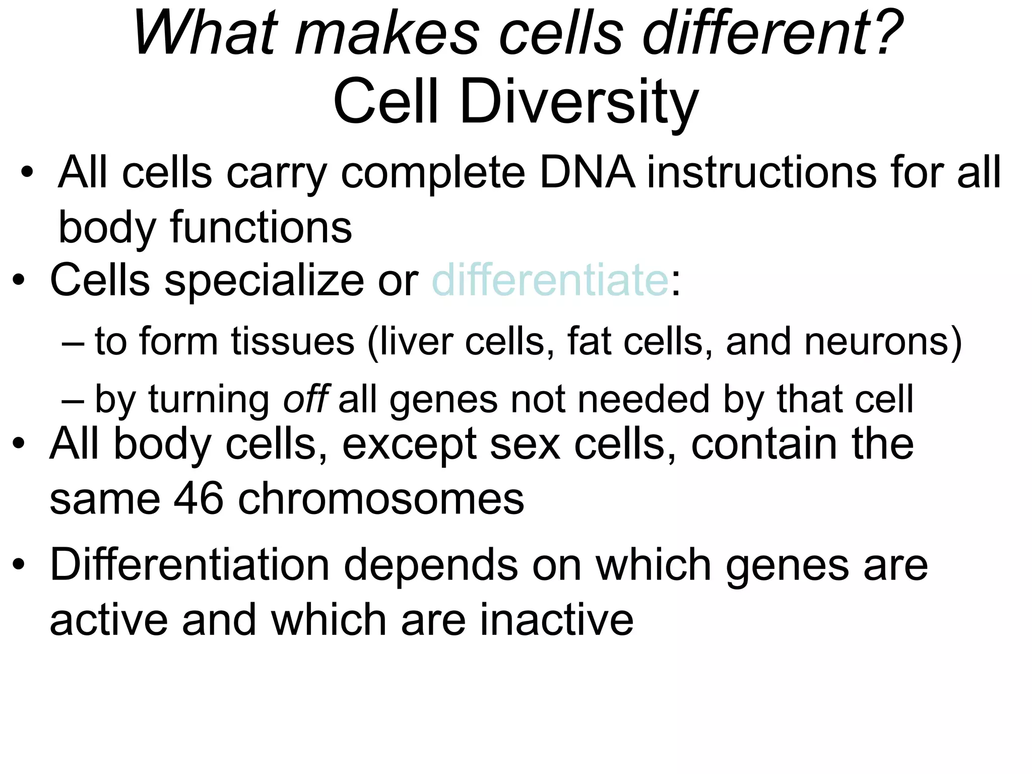 Cell Life Cycle.ppt