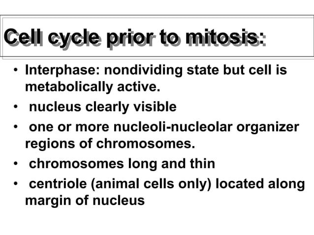 Cell Life Cycle.ppt