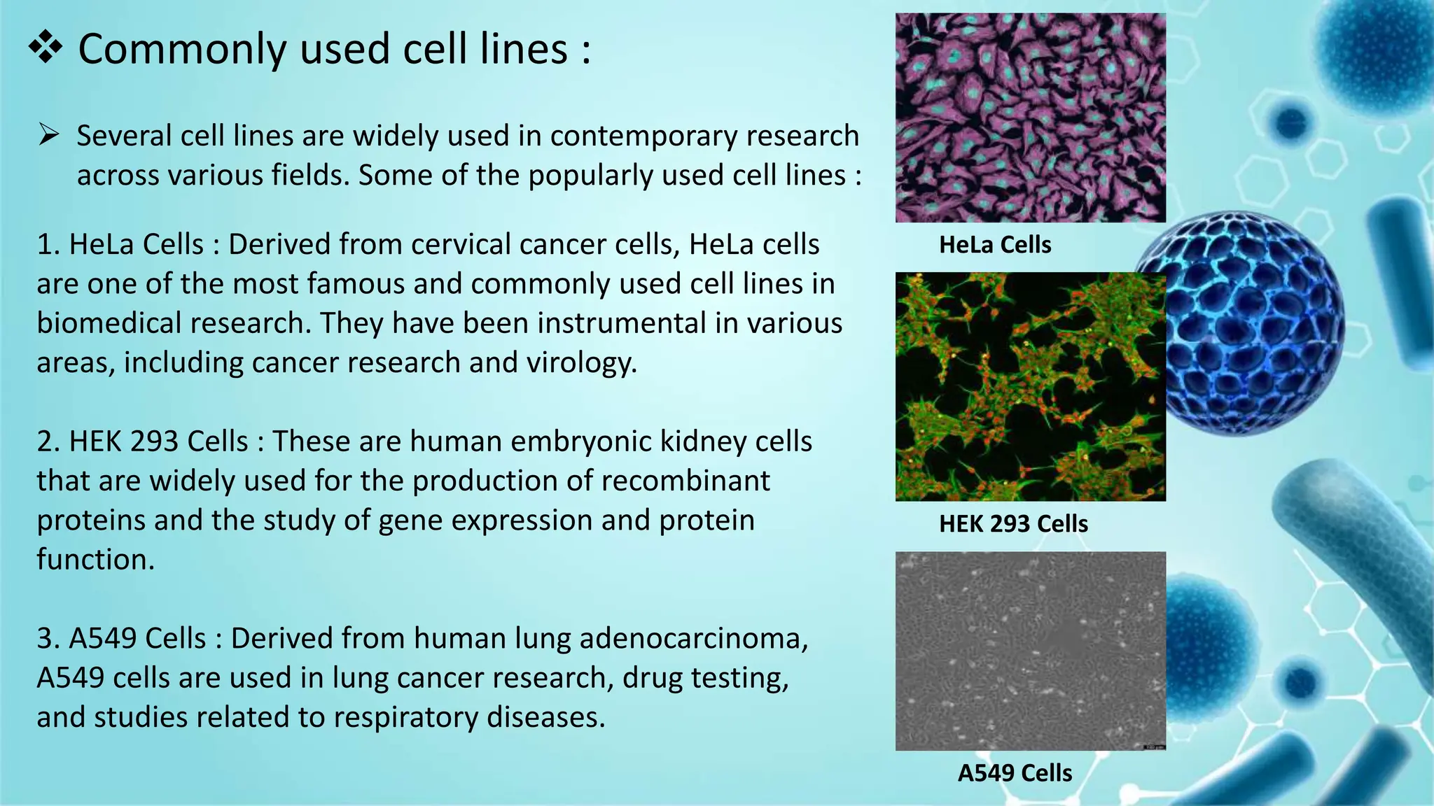 cell line description in detail by krishna | PPTX