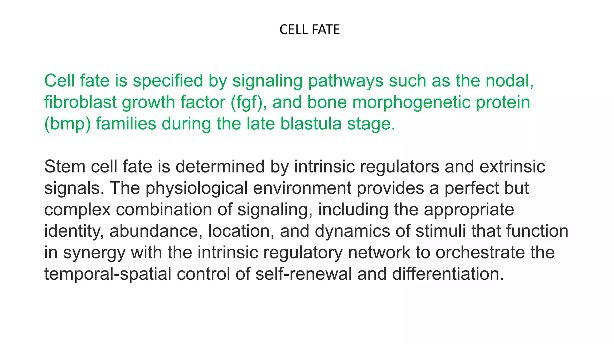 cell lineage and fate | PPTX