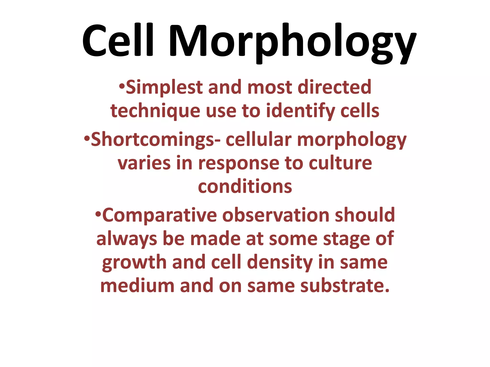 Cell line characterisation | PPTX | Genetics | Science