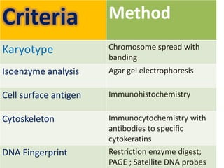 Cell line characterisation | PPTX