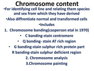 Cell line characterisation | PPTX