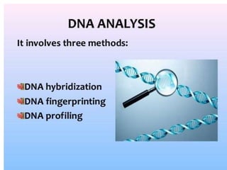 Cell line characterisation | PPTX
