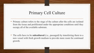 Cell line culture | PPTX