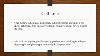 Cell line culture | PPTX