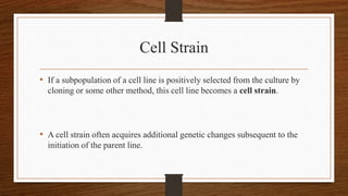 Cell line culture | PPTX