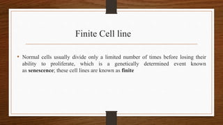 Cell line culture | PPTX
