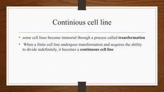Cell line culture | PPTX