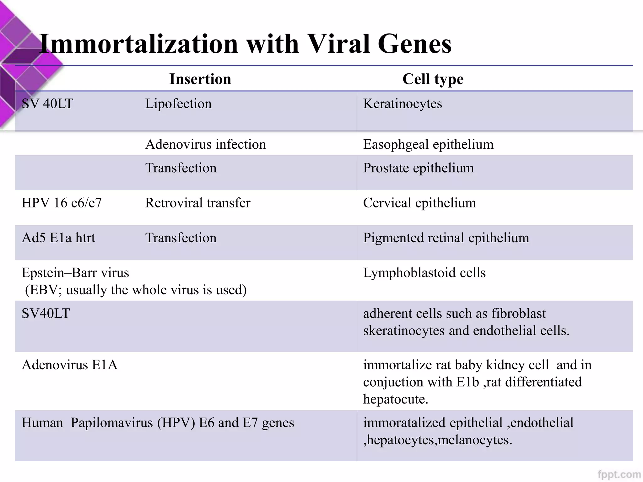Cell line development | PPTX