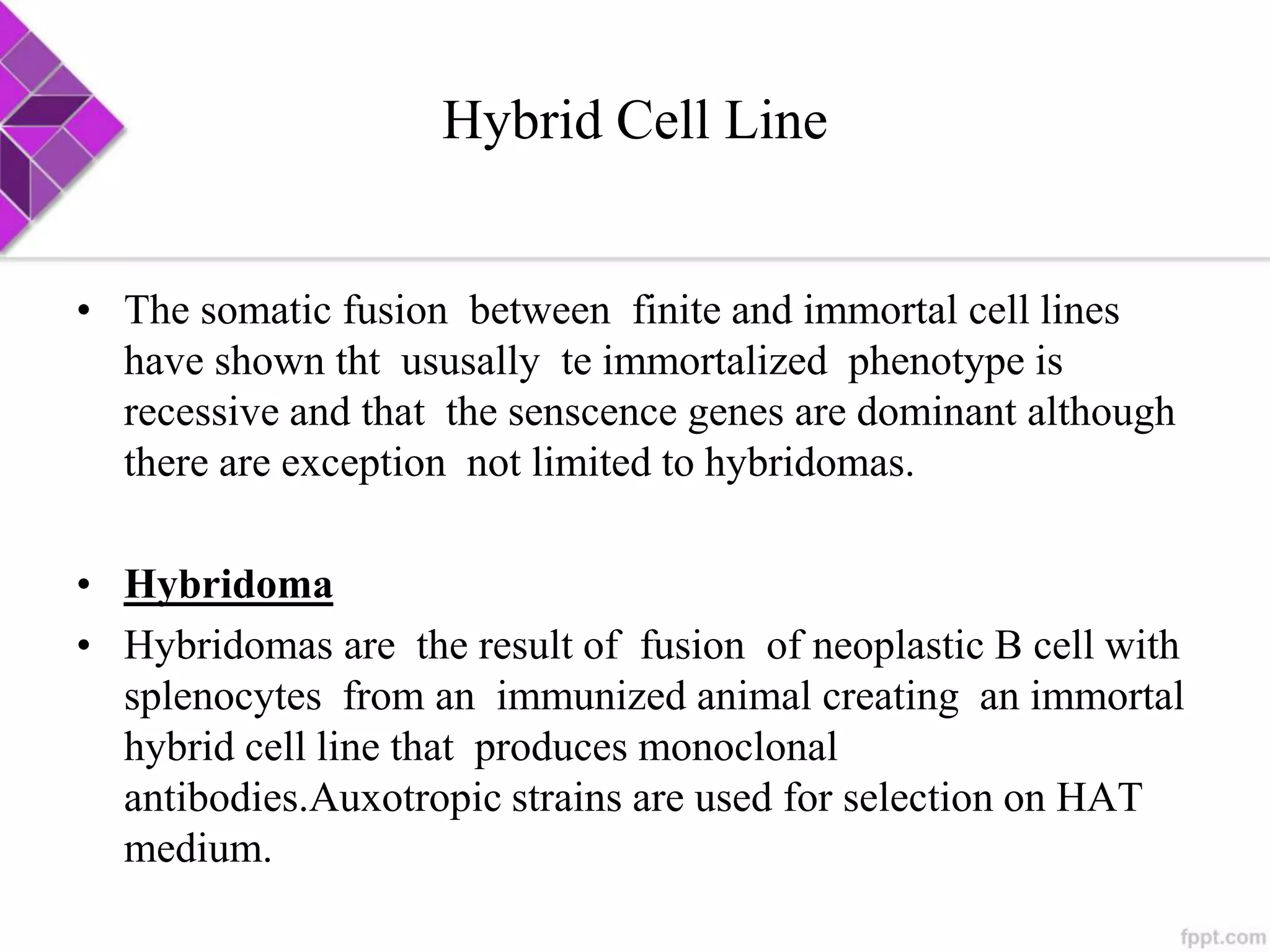 Cell line development | PPTX