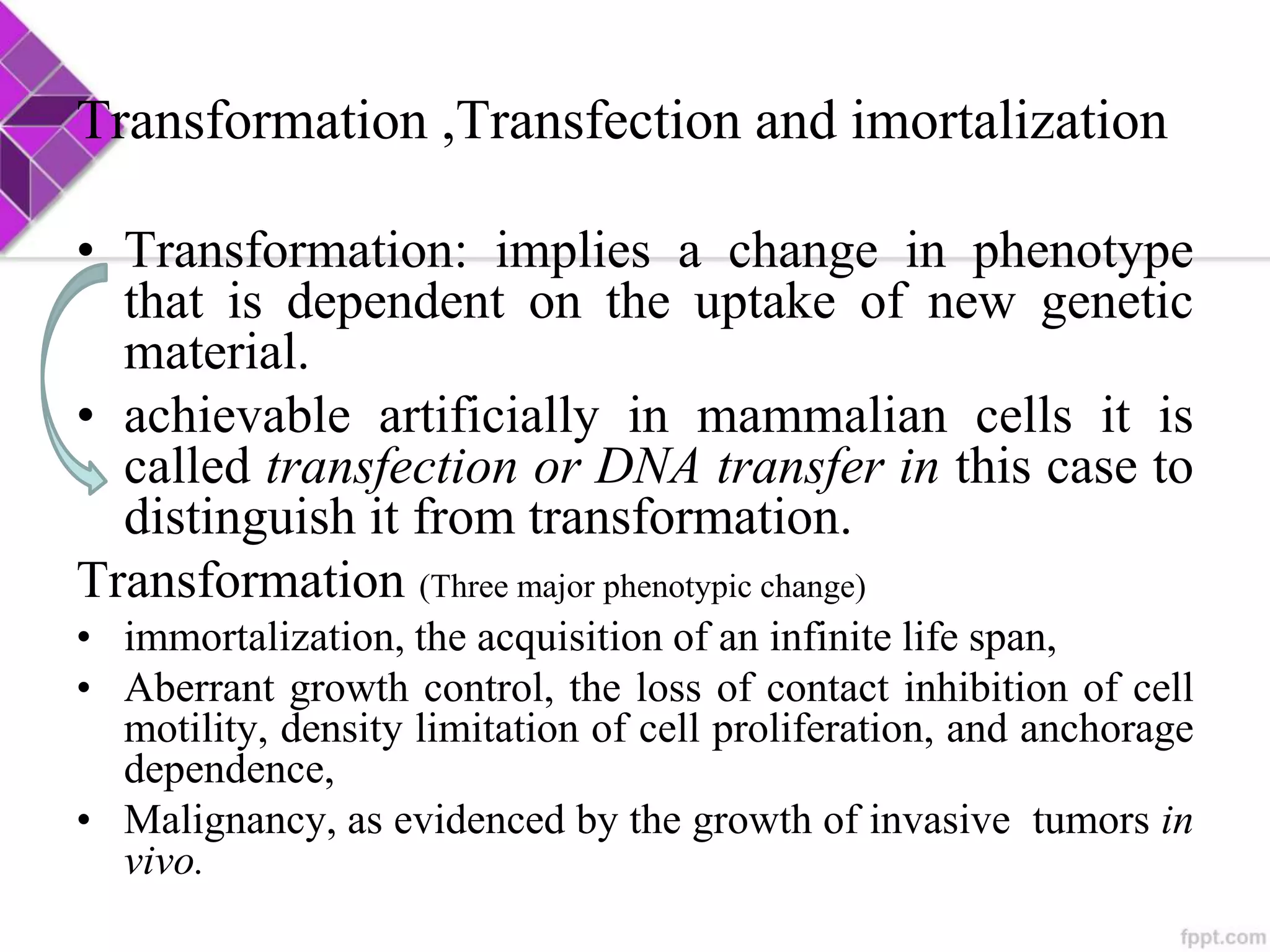 Cell line development | PPTX
