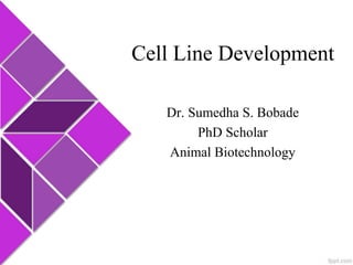 Cell line development | PPTX