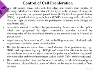 Cell line development | PPTX