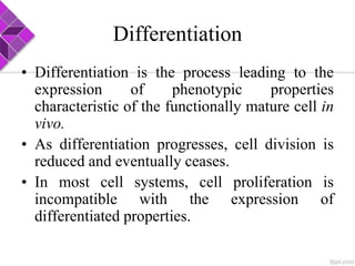 Cell line development | PPTX
