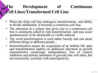 Cell line development | PPTX