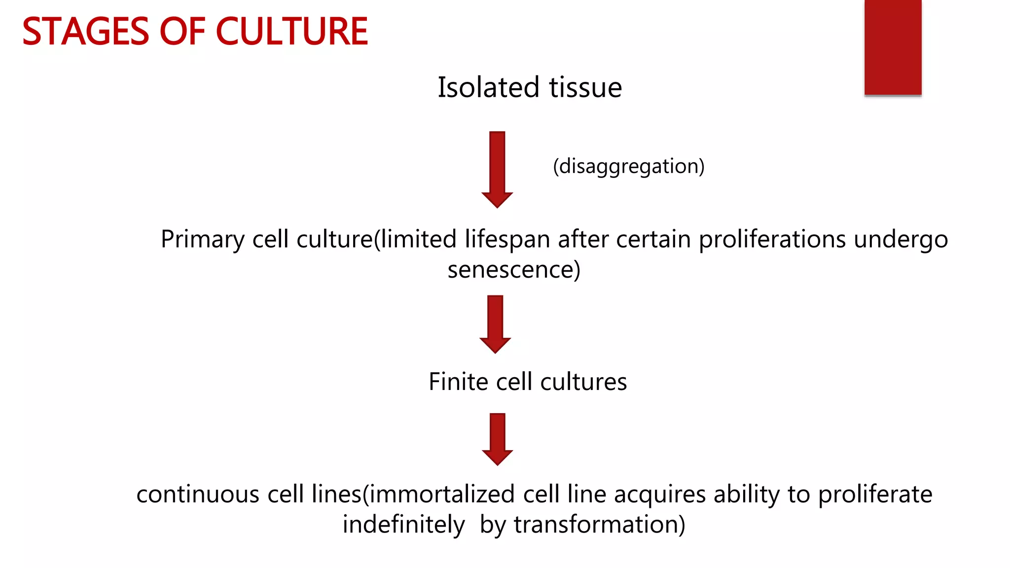 Cell lines | PPTX