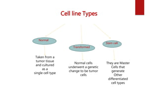 Cell lines | PPTX