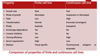 Cell lines | PPTX