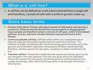 Cell lines | PPTX