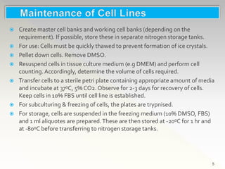 Cell lines | PPTX