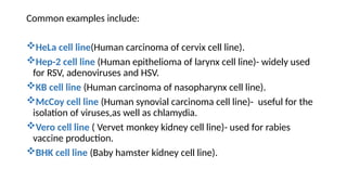 CELL LINES : How to maintain And Sub Culture | PPTX