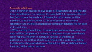 Cell lines and maintanence | PPTX
