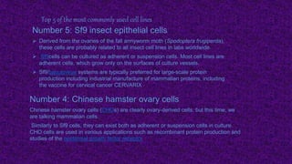 Cell lines and maintanence | PPTX