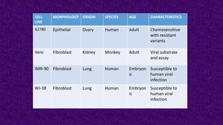 Cell lines and maintanence | PPTX