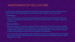 Cell lines and maintanence | PPTX