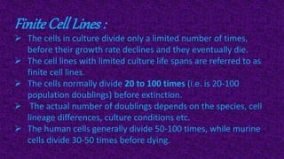 Cell lines and maintanence | PPTX