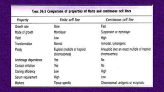 Cell lines and maintanence | PPTX
