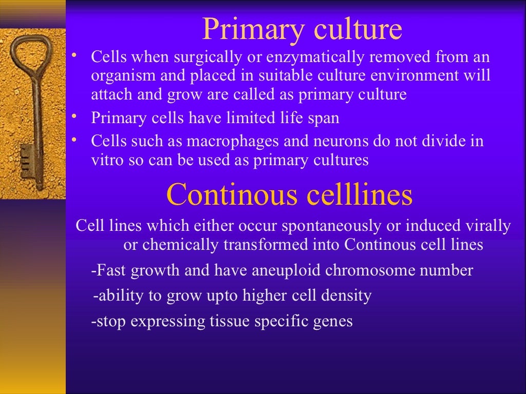 Cell lines Basics