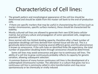 Cell lines seminar | PPTX | Biological Sciences | Science
