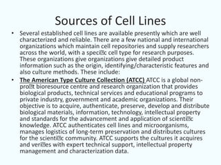 Cell lines seminar | PPTX
