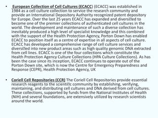 Cell lines seminar | PPTX