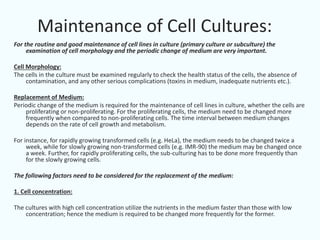 Cell lines seminar | PPTX