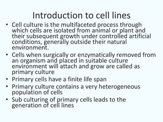 Cell lines seminar | PPTX