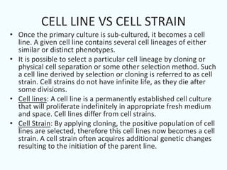 Cell lines seminar | PPTX