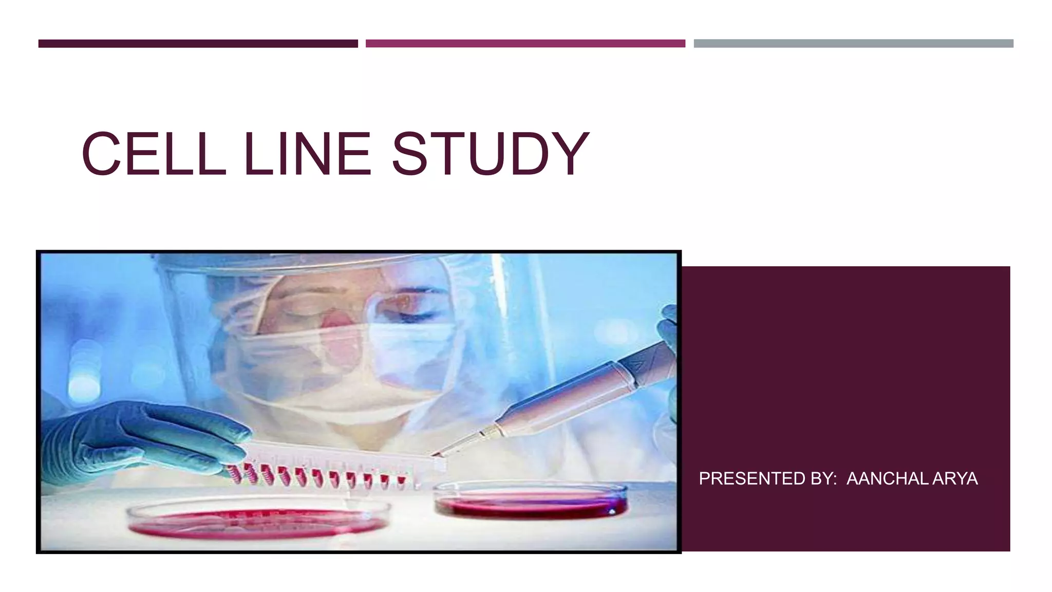 Cell line study | PPTX