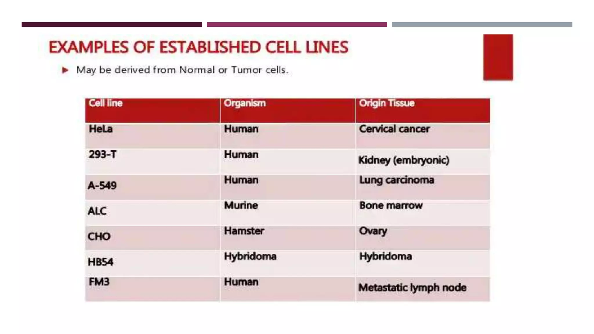 Cell line study | PPTX