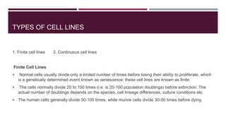 Cell line study | PPTX
