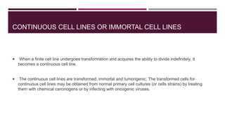 Cell line study | PPTX