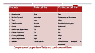 Cell line study | PPTX
