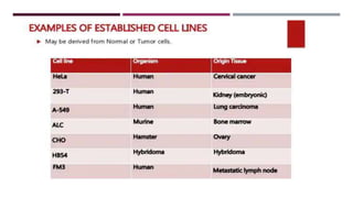 Cell line study | PPTX