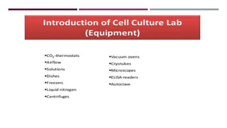 Cell line study | PPTX