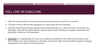 Cell line study | PPTX