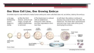 Cell line study | PPTX
