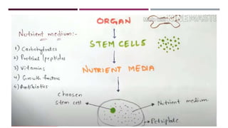 Cell line study | PPTX